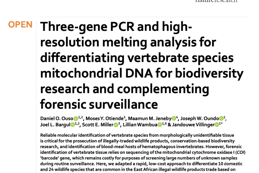 Mic qPCR Cycler | Articles | Bio Molecular Systems