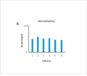 NGS Quantification, Normalization & Pooling | Myra Applications